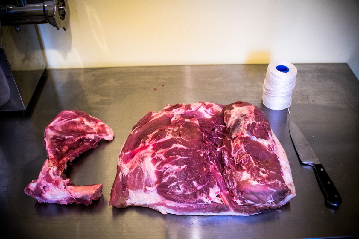 For the love of a Lop – Part 1 – The Quiet Meal